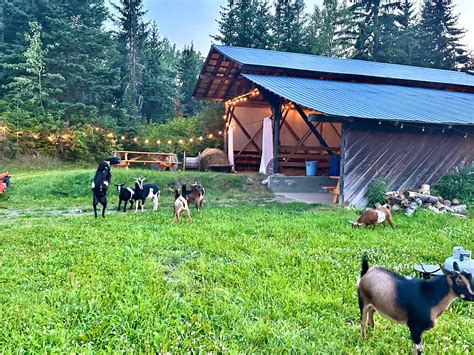 The Best Private Sites Campgrounds In British Columbia