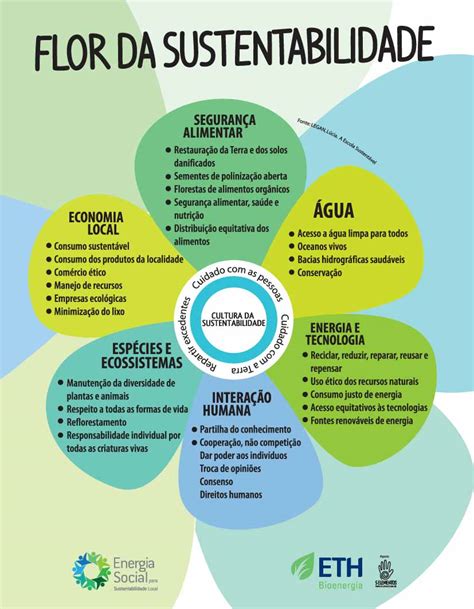 Sustentabilidade Ambiental Mapa Mental Braincp