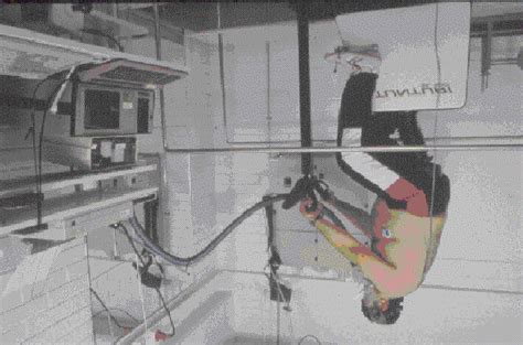 Treadmill Fitness Test Scene Download Scientific Diagram