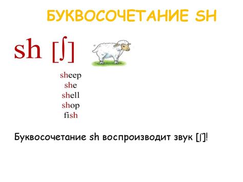 Letter Blends «Буквосочетания презентация онлайн