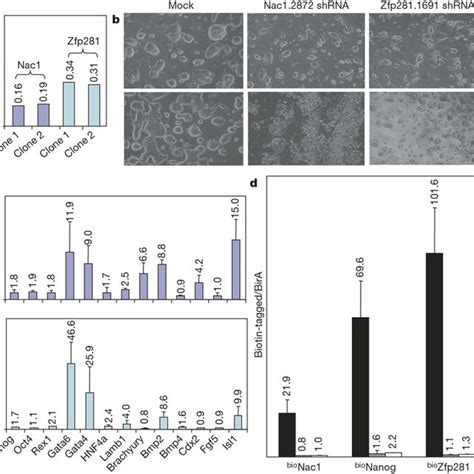 Functional Validation By Rna Mediated Interferencea Quantitative