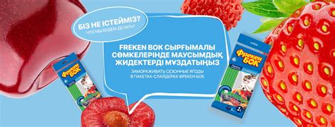 Фрекен БОК Казахстан