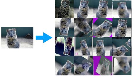 What Is Data Augmentation And Why Its Essential For Computer Vision