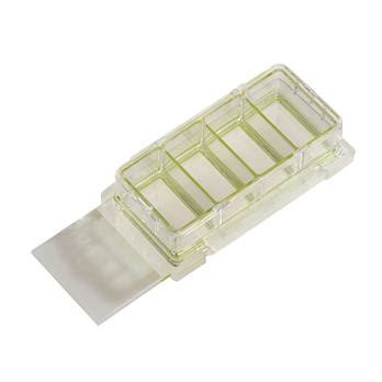 Cell Culture Slides