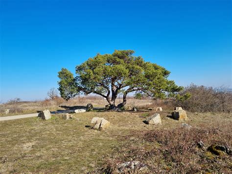 Retzer Land Retzer Land Added A New Photo