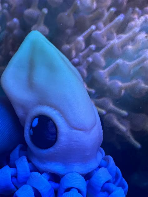 Tiny Squid Rainbow 3d Printed Articulated Dragon Sensory Stress Relief Fidget Toy Squid Fidget