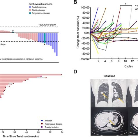 Tumor Responses Of 36 Patients In The Per Protocol Set A The Waterfall