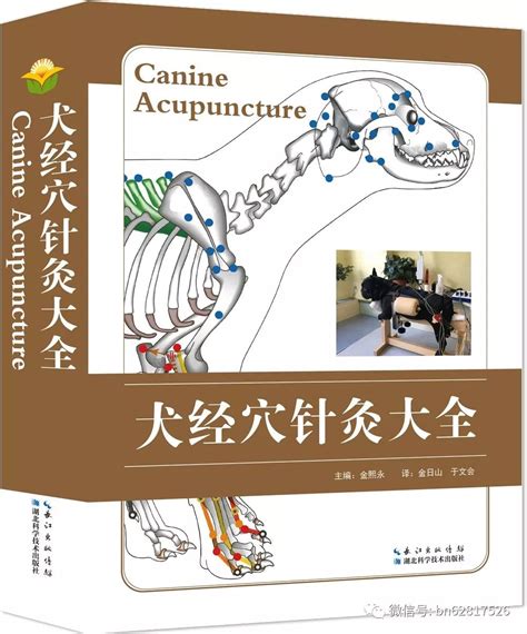 犬经穴针灸大全接受预订 穴位