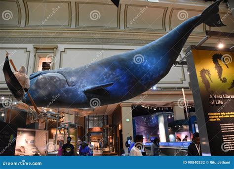 National Museum Of Natural History In Washington Dc Editorial