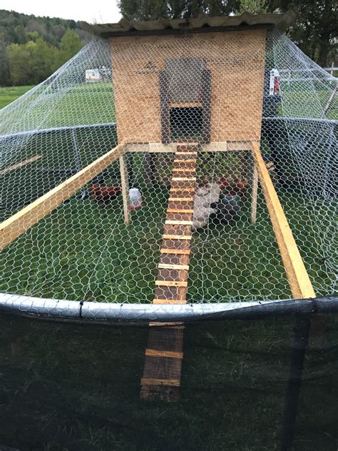 Trampoline Chicken Coop Panosundaki Pin Folluklar