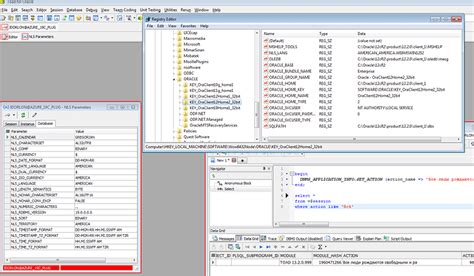 Toad For Oracle Appears An Alert With Ora 29275 Partial Multibyte