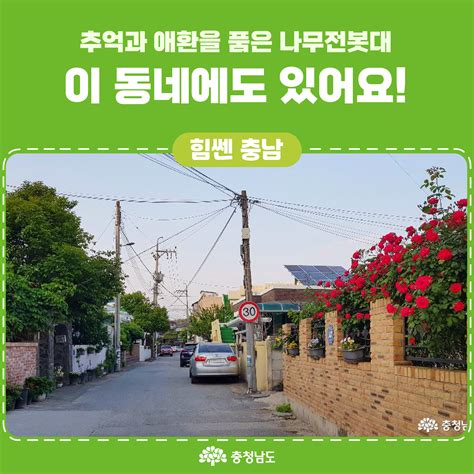 이 동네에도 있어요 추억과 애환을 품은 나무전봇대