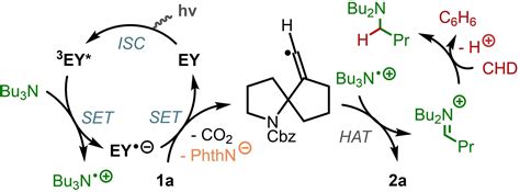 Towards A General Access To 1‐azaspirocyclic Systems Via Photoinduced