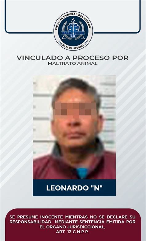 Vinculan A Hombre Por Maltrato Animal En Playas De Rosarito Síntesis Tv