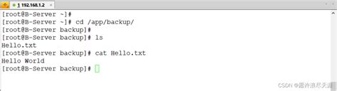 使用 rsync 实现远程同步，以及实时同步 rsync实时备份 csdn博客