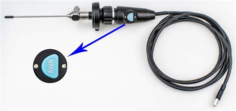 Portable Usb Camera Ent Endoscopic Camera Flexible Video Fiber