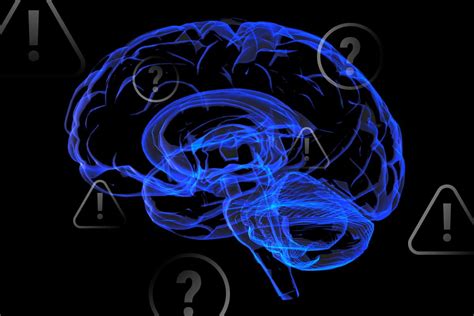 Your Brain And Misinformation Why People Believe Lies And Conspiracy
