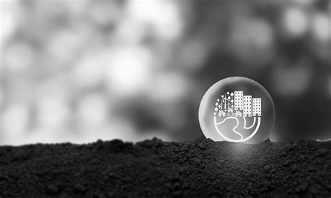 Social Lca Normec Ows