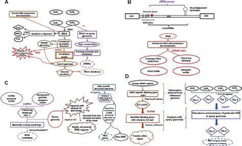 A Comparative Genomics Based Protocols Utilized In The Computational Download Scientific