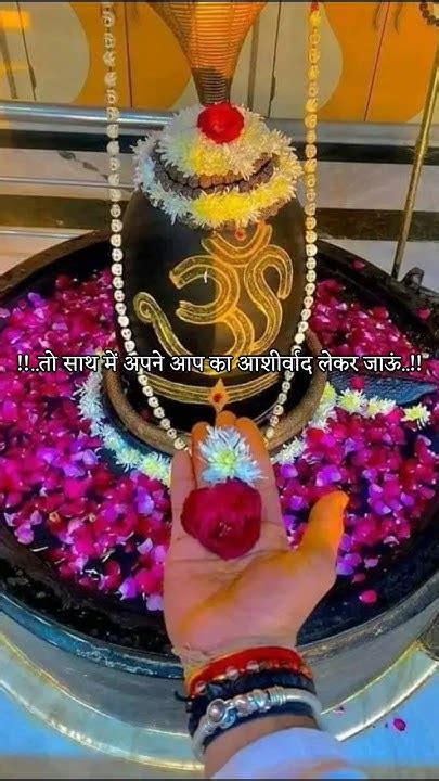 🌿🕉️तो साथ में अपने आप का आशीर्वाद लेकर आऊं 🕉️🥀mahadevstatus