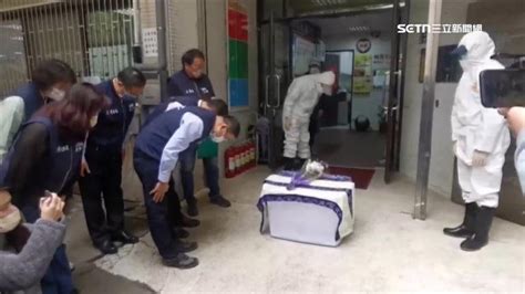六福村「狒狒之死」！技工下令獵槍擊殺遭判刑 法官：麻醉槍圍捕就夠
