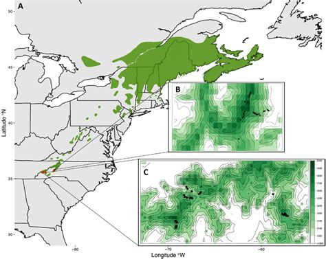 Natural Range Of Red Spruce 1 In Eastern North America A Insets Show