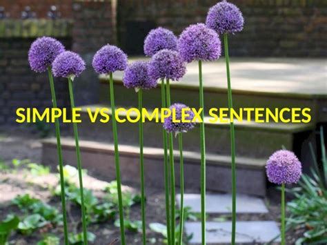 PPTX SIMPLE VS COMPLEX SENTENCES DOKUMEN TIPS