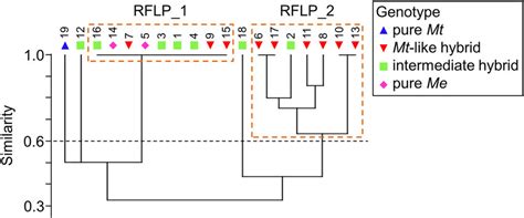 Cluster Analysis Of 16s Rrna Gene Based Rflp Community Fingerprinting Download Scientific