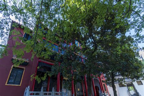 历史古建筑素材 历史古建筑模板 历史古建筑图片免费下载 设图网