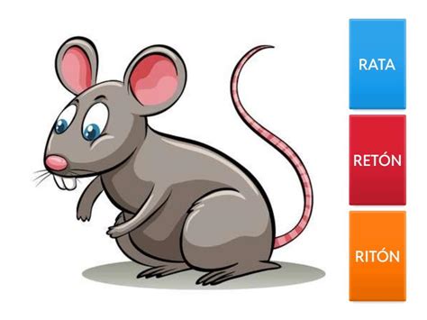 Ra Re Ri Ro Ru Quiz