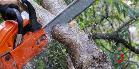 Your Chainsaw Loses Power Find Out Why Powered Outdoors