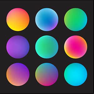 Activity Principles Of Art Unity And Variety Neuberger Museum Of Art Purchase College