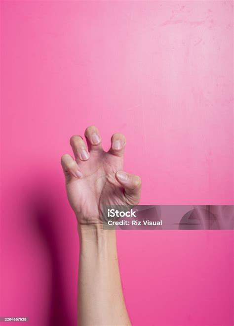 단색 분홍색 배경에 손가락을 벌리고 발톱 모양을 형성하는 아시아인의 손은 두려움 공격성 또는 강렬함의 제스처를 전달하여 표현적이거나 감정적인 시각 자료에 적합합니다
