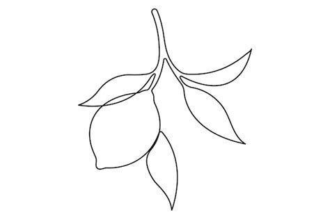 Premium Vector Continuous One Single Line Art Drawing Of Apples Icon