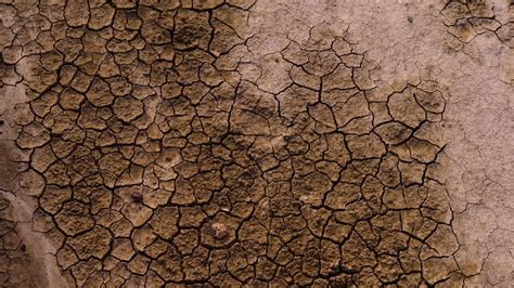 Katie Macarelli On Linkedin Themoreyouknow Neverstoplearning