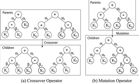gp operators on kernel trees crossover operator and mutation operator
