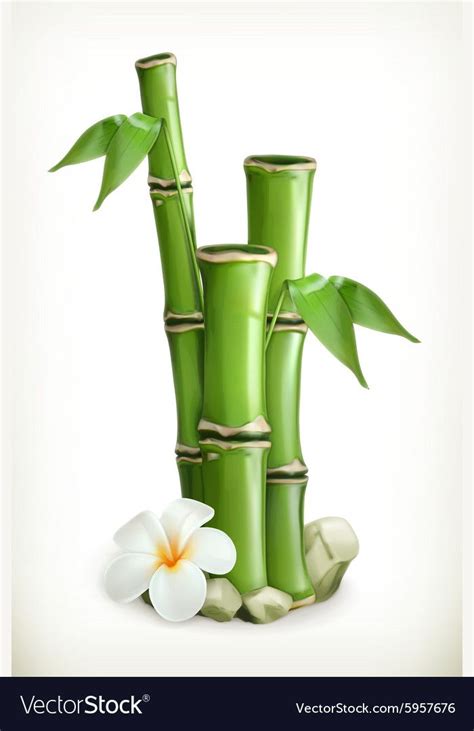 How To Draw Bamboo Really Easy Drawing Tutorial Artofit