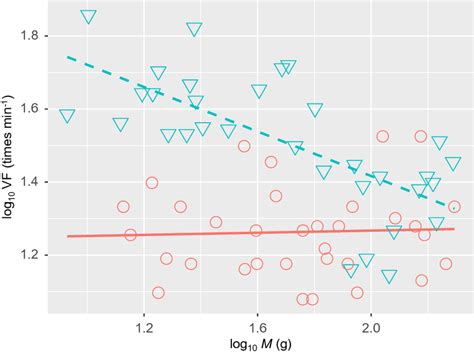The Scaling Relationship Between The Ventilation Frequency Vf Times