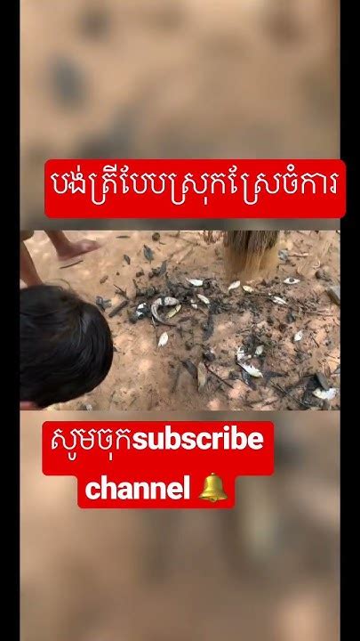 នេសាទ ត្រី បែប អ្នក ស្រុកស្រែ Youtube