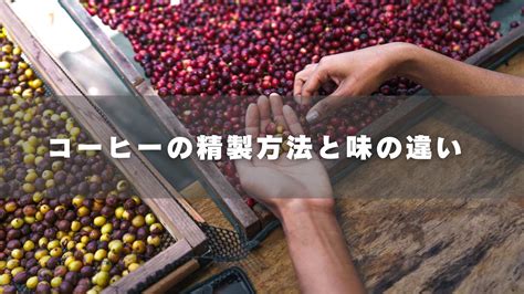 【簡単】コーヒーかすを使った肥料の作り方 Cafua