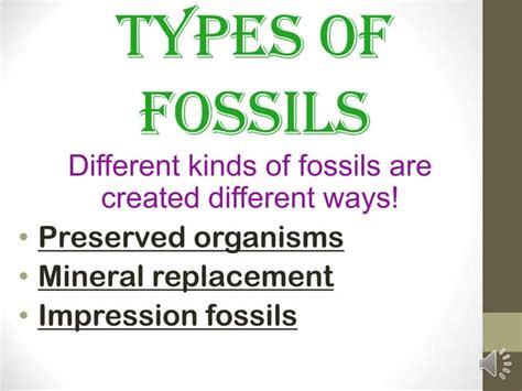Fossils Ppt Geology Science