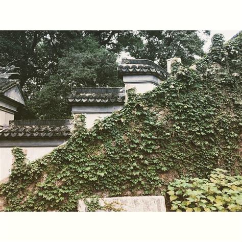 宋代大诗人苏东坡曾写下到苏州不游虎丘乃憾事也 搜狐大视野 搜狐新闻