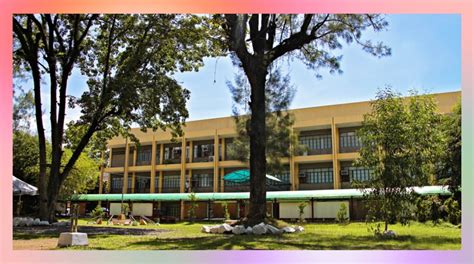 Mindanao State University Iligan History Top Courses Tuition Fee