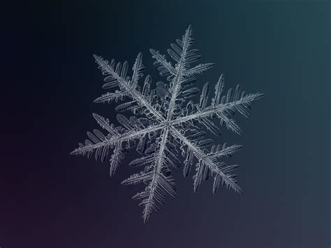 Macro Photography Of Snowflakes 13 Pics I Like To Waste My Time