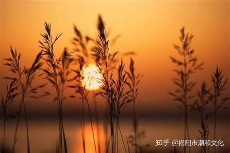 眼界决定境界格局决定结局 知乎