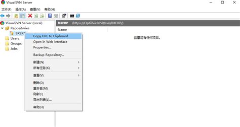 首先做！ 》使用visualsvn Server在本地电脑搭建svn服务器 Boxin Kim 博客园