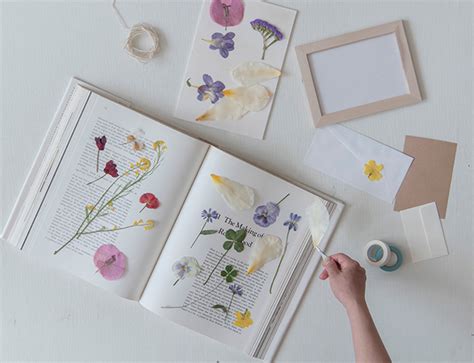 押し花の簡単な作り方と素敵な使い道 くらしのgenten