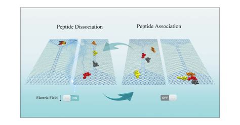 Electric Field Controlled Peptide Self Assembly Through Funnel Shaped Two Dimensional Nanopores