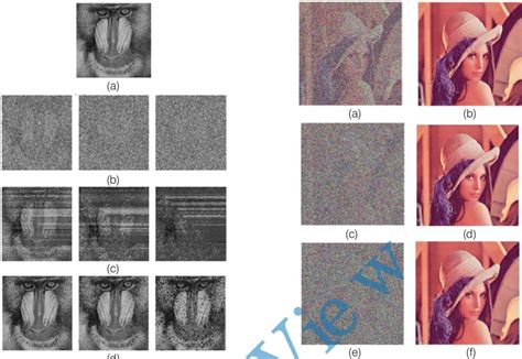 Results Of Applying The Proposed Filter On A Color Image Corrupted With Download Scientific
