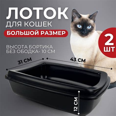 Лоток для кошек с бортом купить с доставкой по выгодным ценам в интернет магазине Ozon